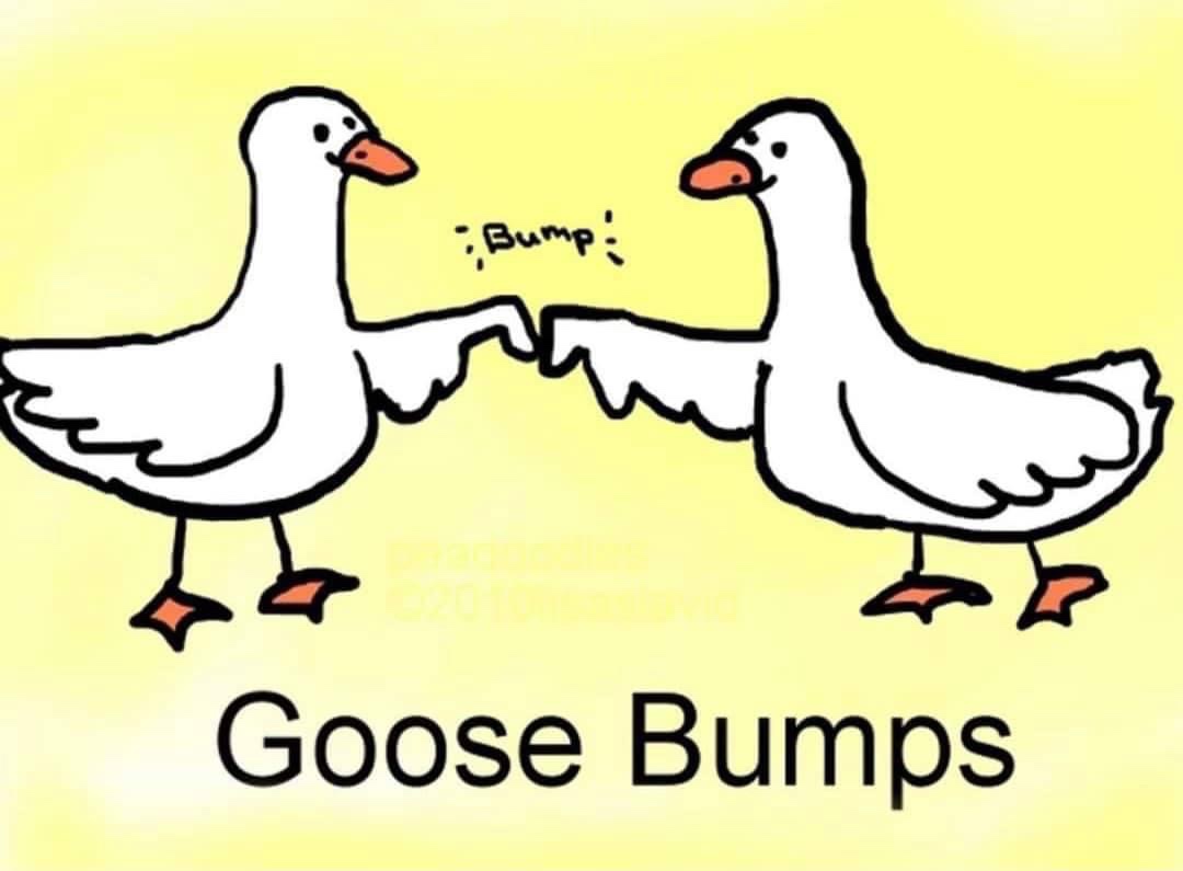 Happy Friday and Be Prepared! – My Silly Goose